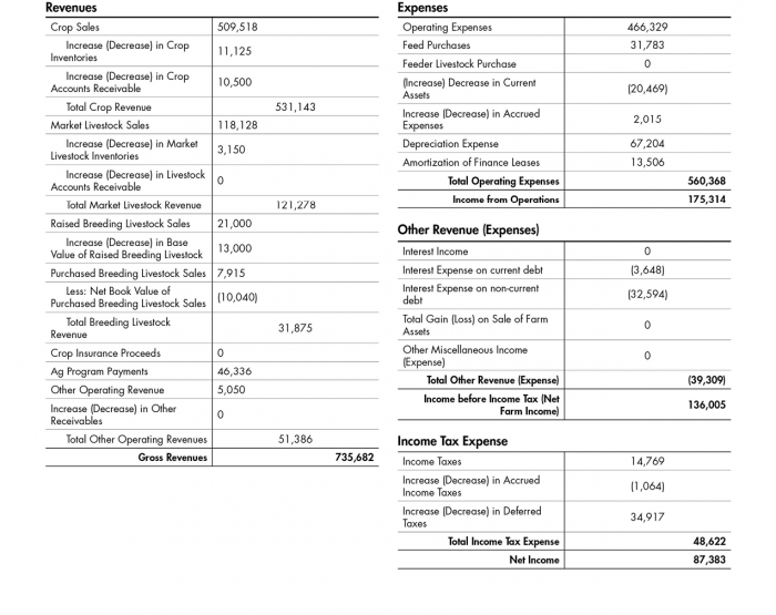 Interpreting Financial Statements & Measures : You Can Farm Wyoming